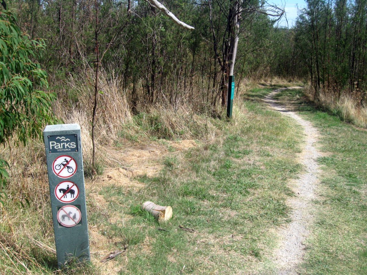 TRACKS, TRAILS AND COASTS NEAR MELBOURNE : Dandenong Police Paddocks ...