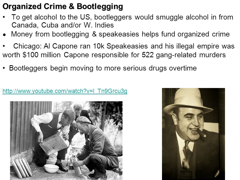 EXAMS AND ME : Bootlegger