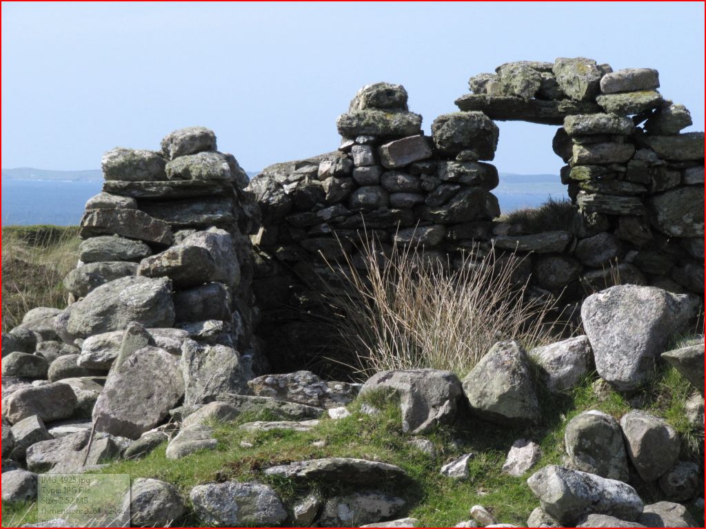 Islay Natural History Trust: Tockmal on the Oa