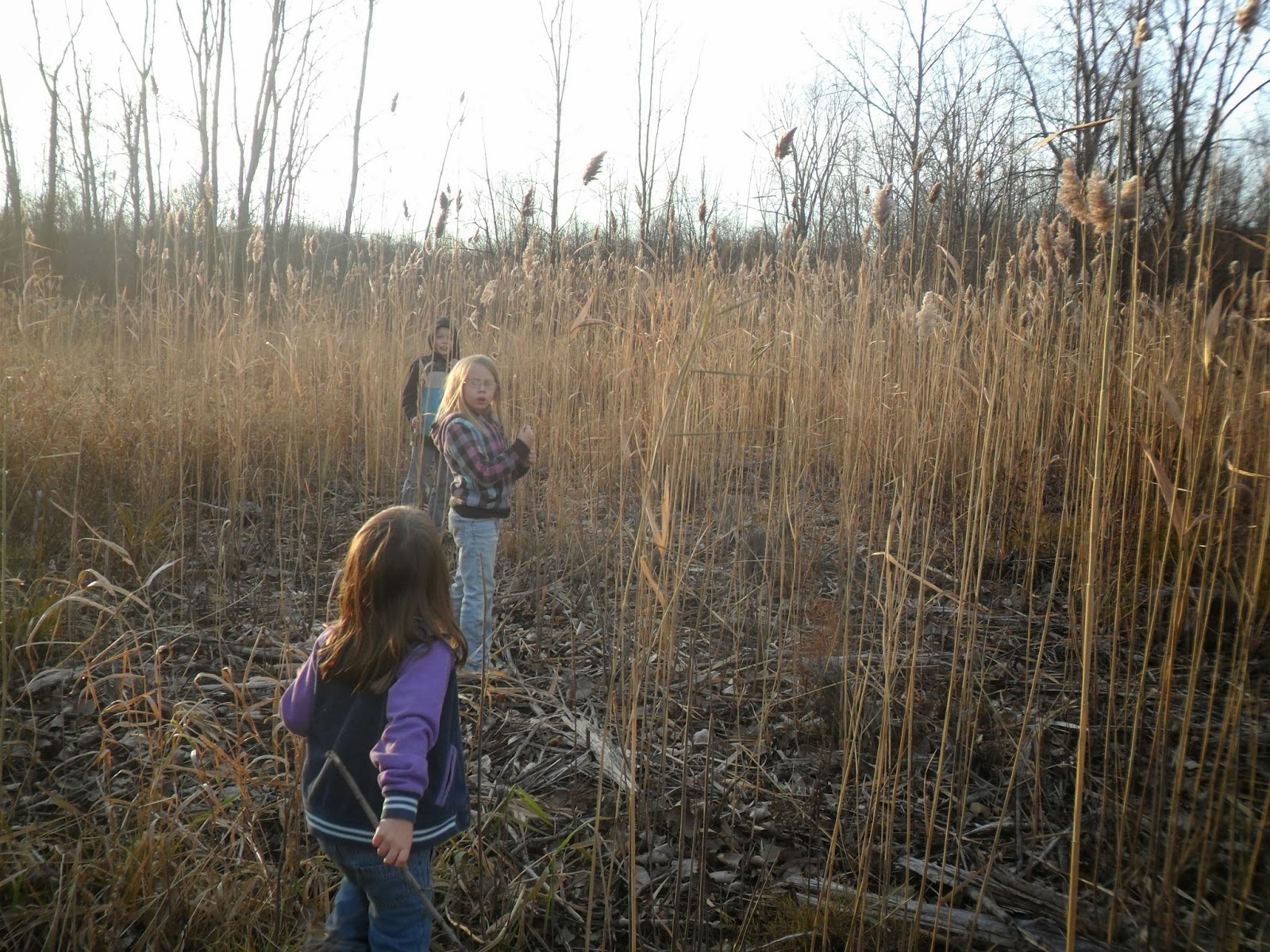 Homeschool Camper: It's Finter?