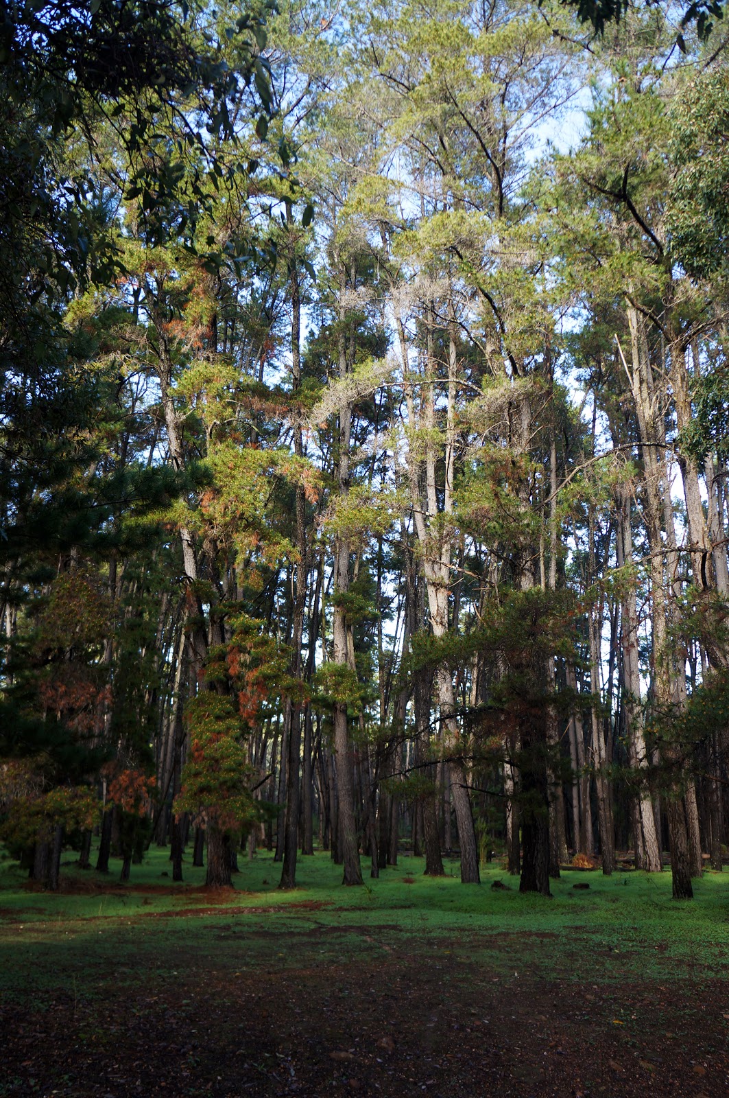 Kitty's Gorge Walk Trail (Serpentine National Park) ~ The Long Way's Better