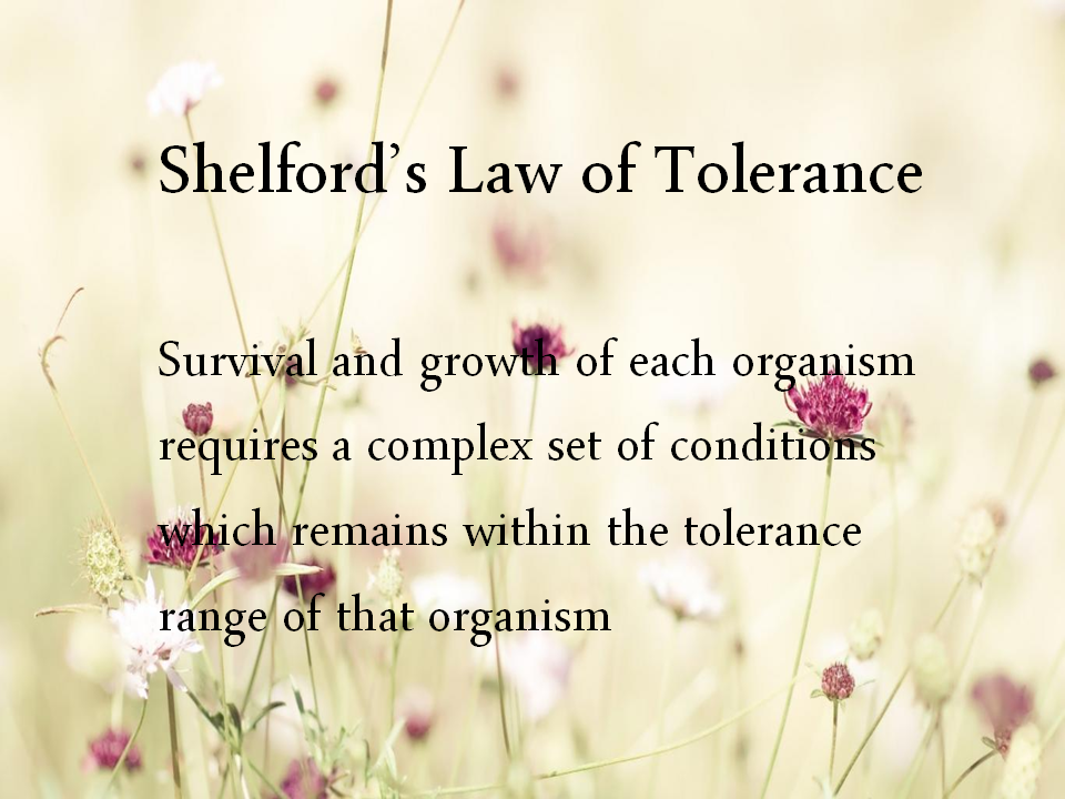 Nadia's Reflective Journal: #3: Distribution of Microorganisms