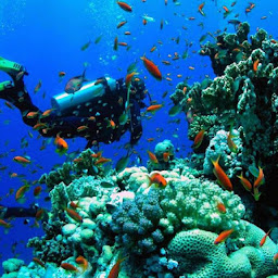 Aplicación del método científico en la biología marina