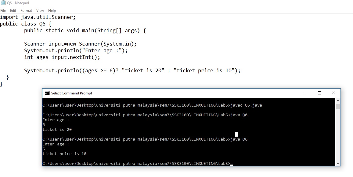 Computer Programming SSK3100: Lab 5 (Week 6 18/10/2018)