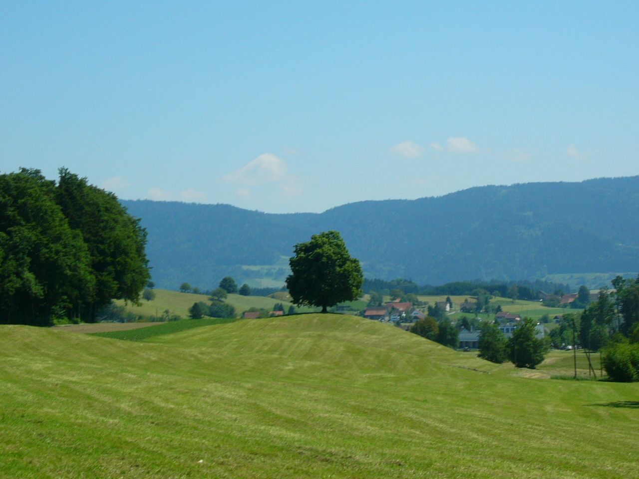 Ritas Blog-Archiv: Johanna Spyri, Heidi-Gefühle im Ort Hirzel und die ...