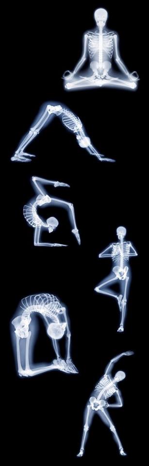 ready4yoga: ΓΙΟΓΚΑ ΓΙΑ ΛΟΡΔΩΣΗ - ΚΥΦΩΣΗ - ΣΚΟΛΙΩΣΗ.