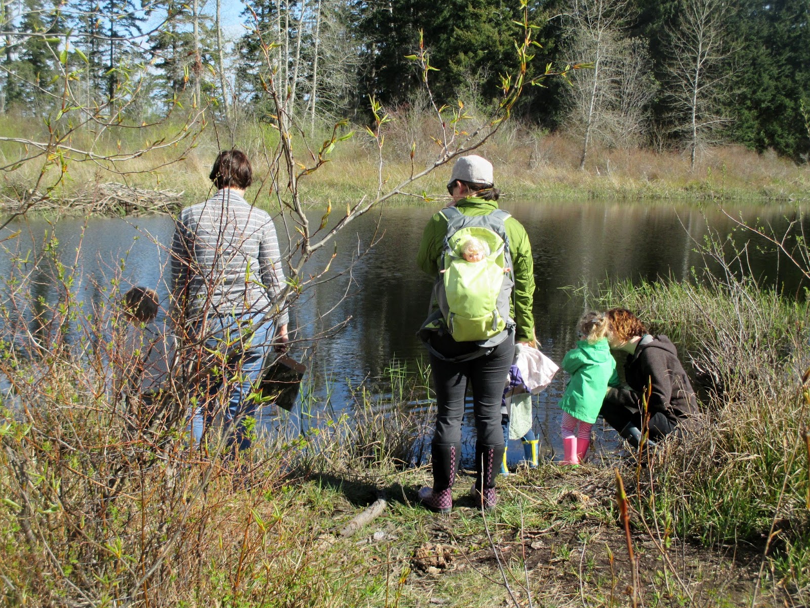 StrongStart: Pond Study 2016