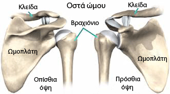 MedProfessionals: Ασταθεια ωμου: τι να προσεξω;