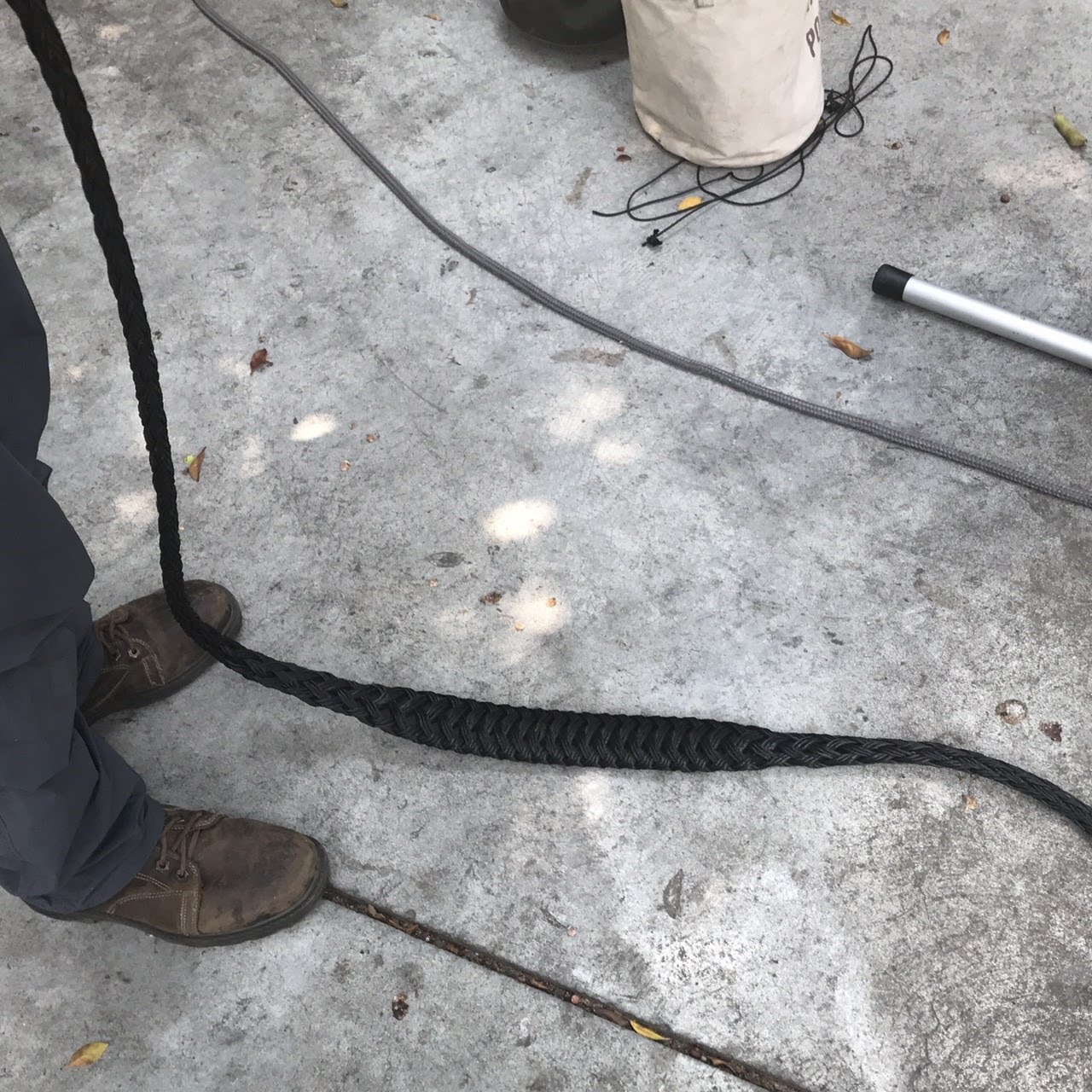 彈性纜繩系統－樹木支撐的新選擇 cobra tree bracing system | 樹沃客樹藝