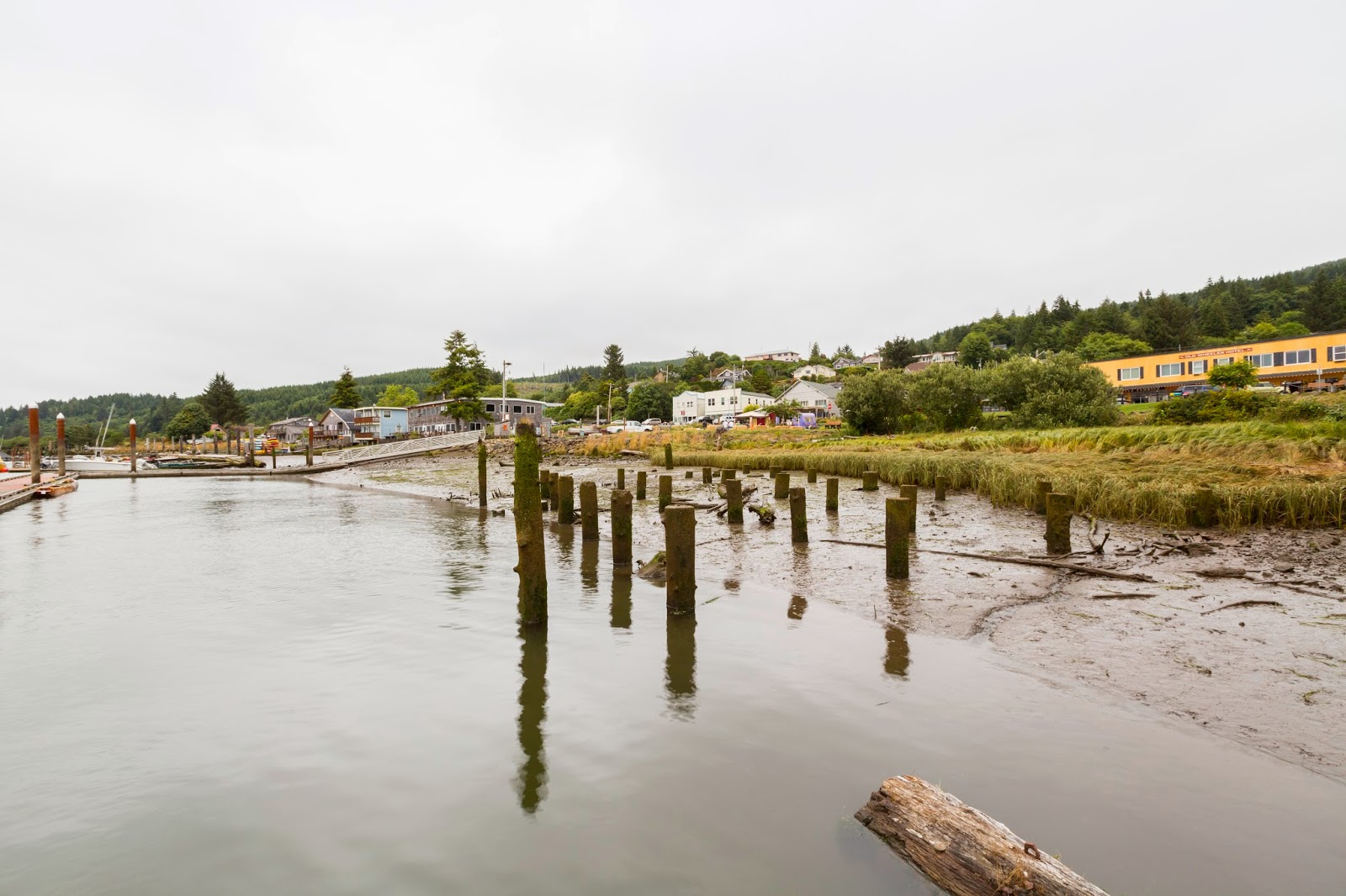Naturetastic Blog: Wheeler - Oregon Coast