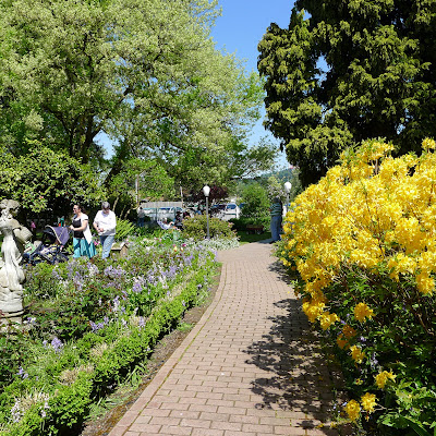 Good Life Northwest: A PHOTO TOUR OF THE HULDA KLAGER LILAC GARDENS