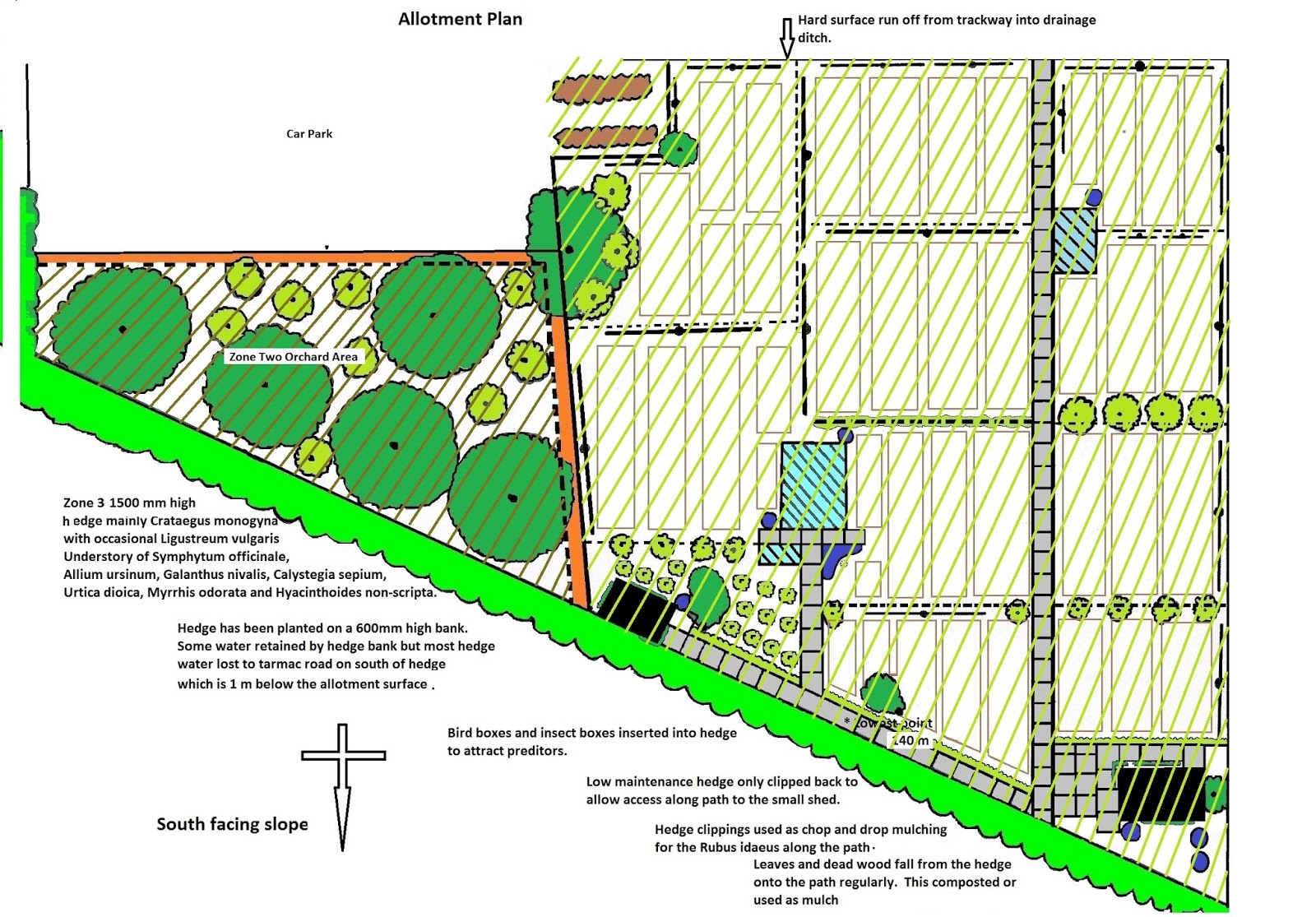 Allotment Garden: Tony's Permaculture Allotment.