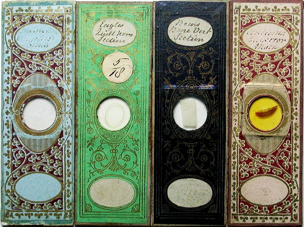 Letterology: Victorian Slide Specimens