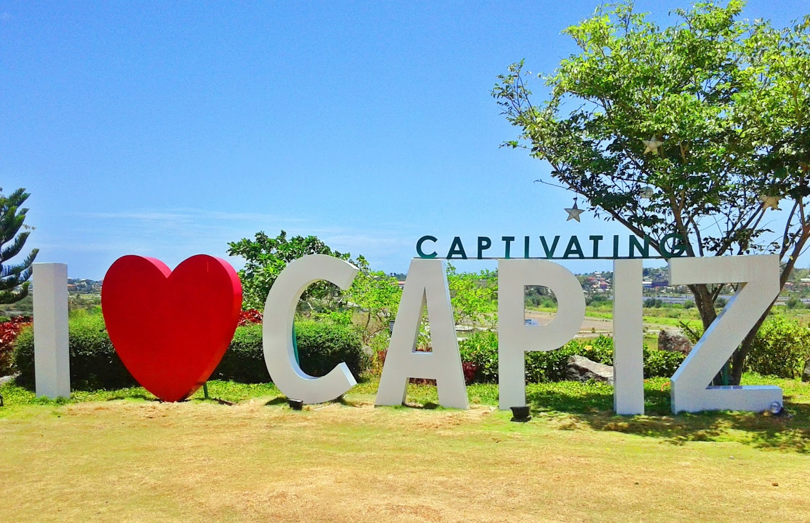 cOyxXx: Dining Above and Beyond at Café Terraza