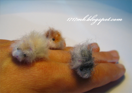 17-17 Miniatury: Najmniejsze świnki morskie ;) The smallest guinea pigs