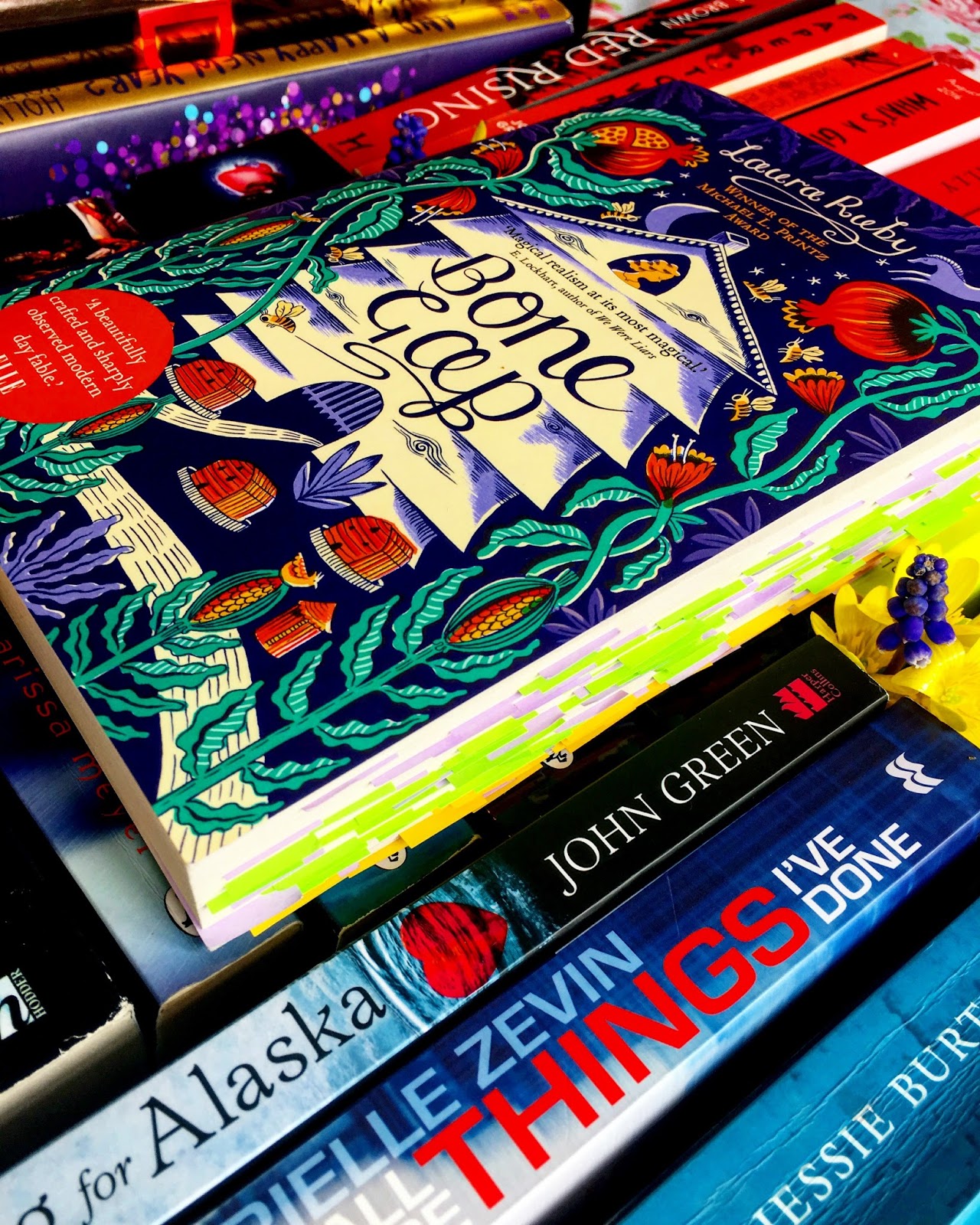 My 2450 word love letter to the poignant, divine Bone Gap by Laura Ruby