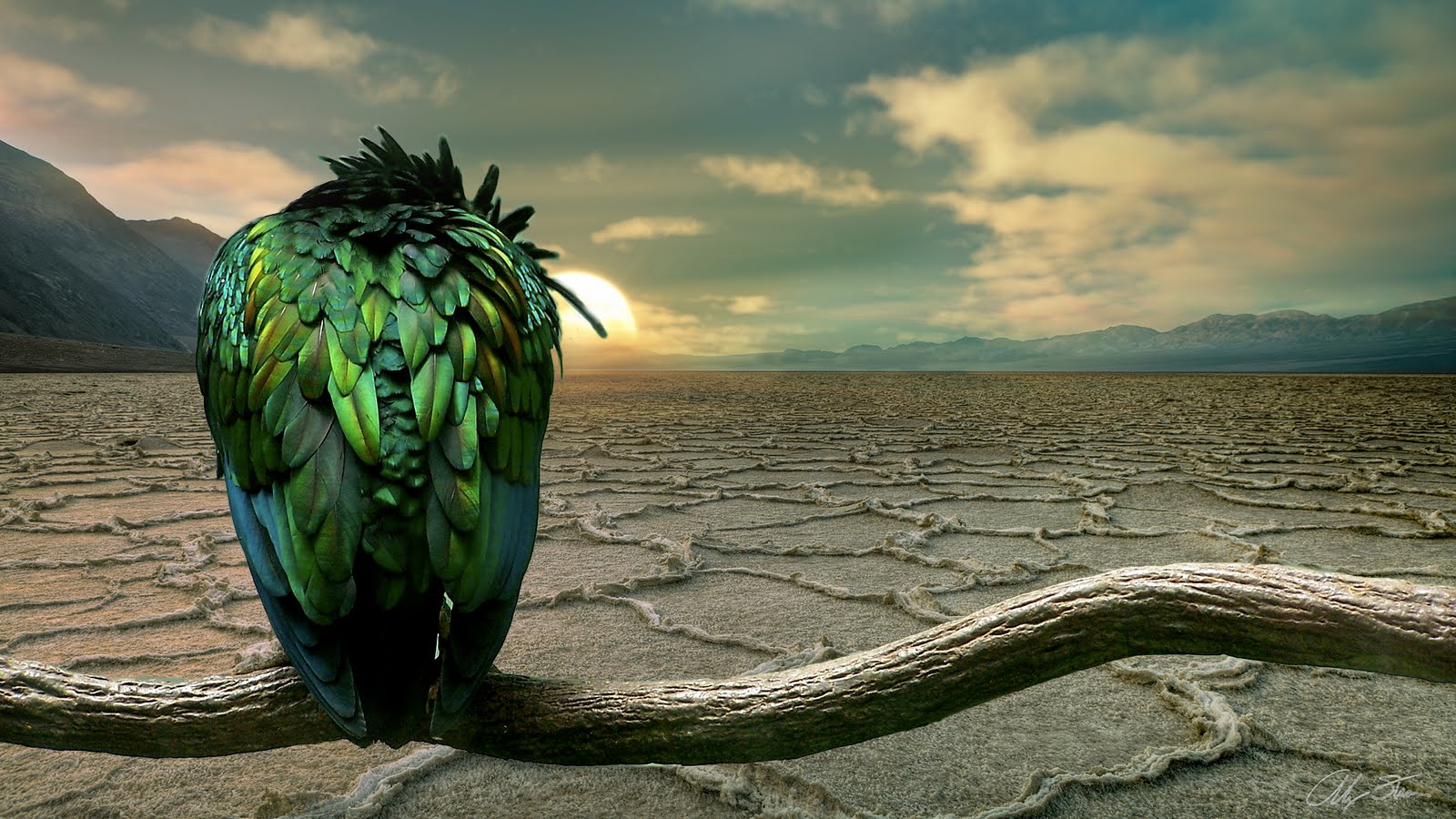 Showreel: Compositing