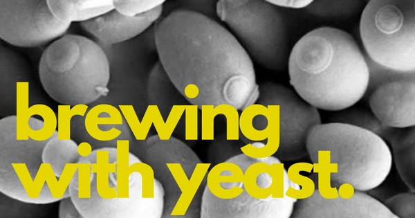 ↠ Brewing with yeast (how to get a rise out of your beer) | How to Home ...
