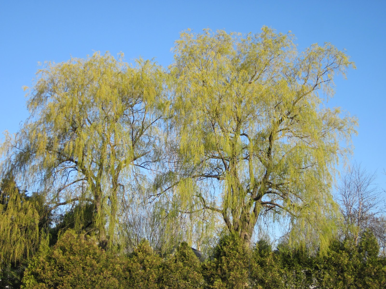 Book of Days: April 2012