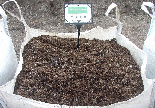 Six Step to Mushroom Farming | Agriculture