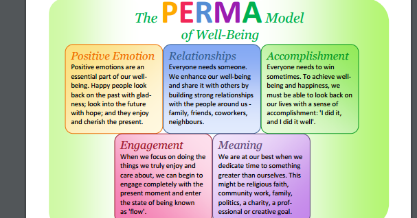 Een onderwijs avontuur: What the ** is PERMA