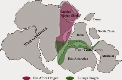 The Dragon's Tales: Where the Tarim Block was in Gondwana and Rodinia ...