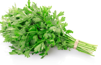 Khasiat Daun Sup yang Kita Tak Tahu