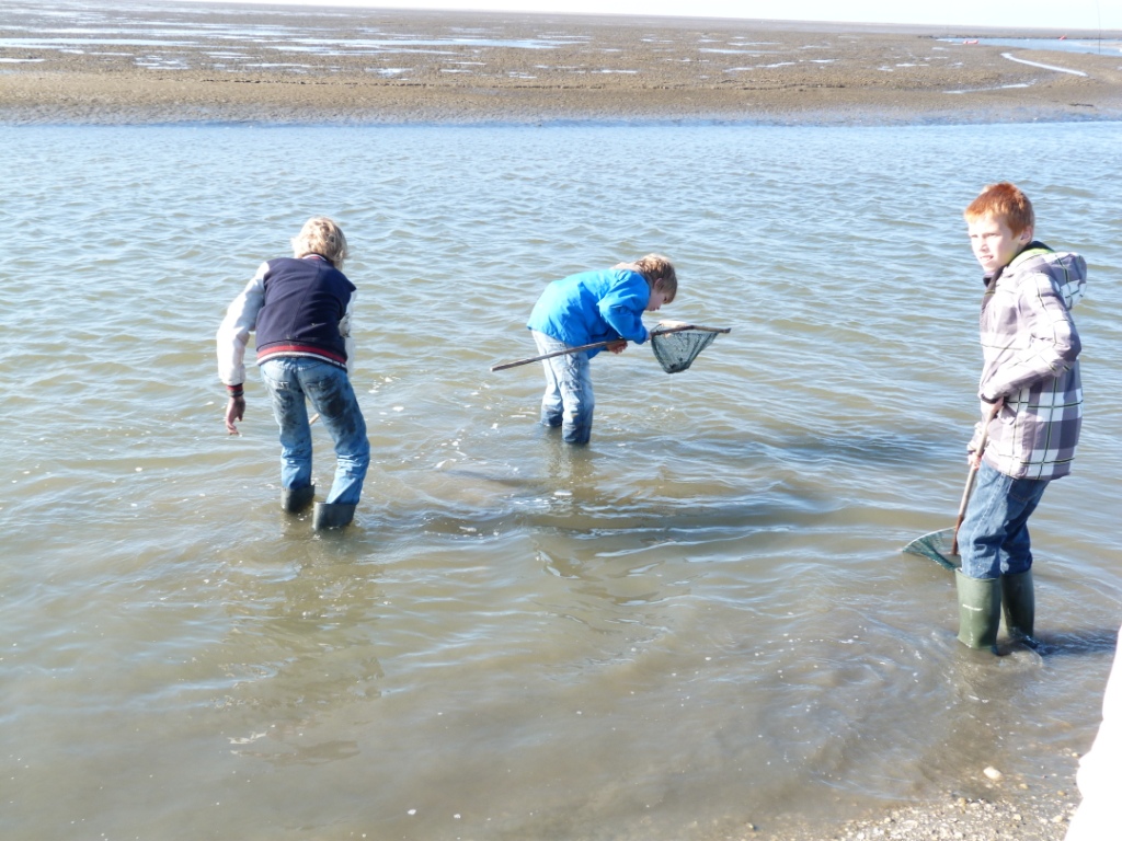 Groep 8 op kamp: wadlopen