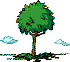 hareketli resimler: Ağaç Gifleri