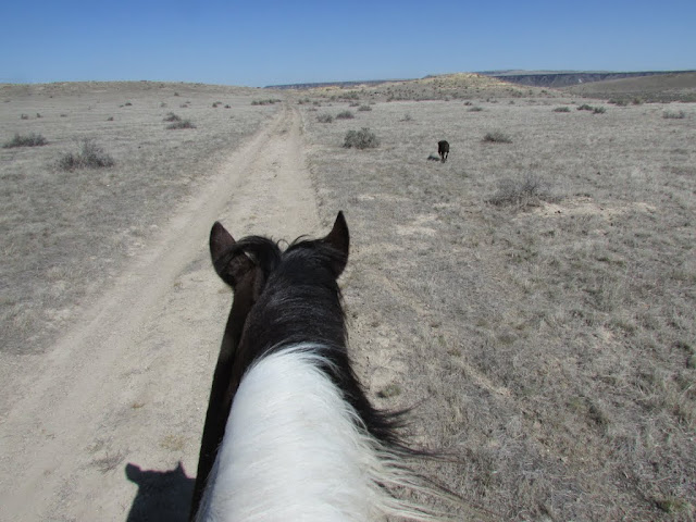 Knotty Pine Ranch: Colleen, Buck and Hardtrigger