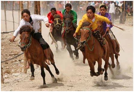 Tugas Kuliah Junior: Tradisi Upacara Adat Suku Sumbawa NTT