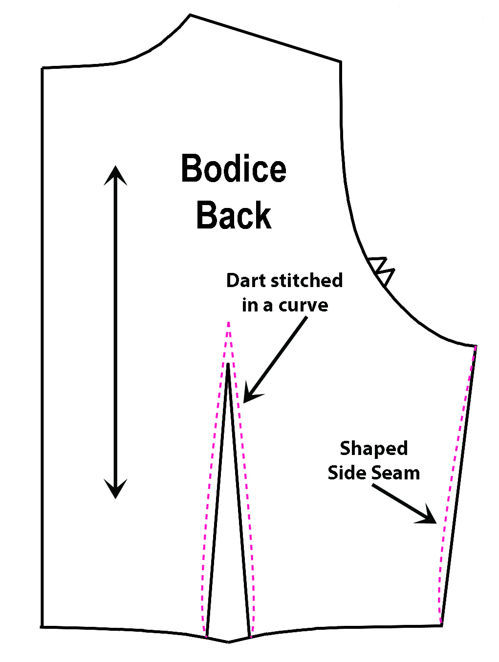 Sure-Fit Designs™ Blog: Sway Back: Identification & Refinements for the ...