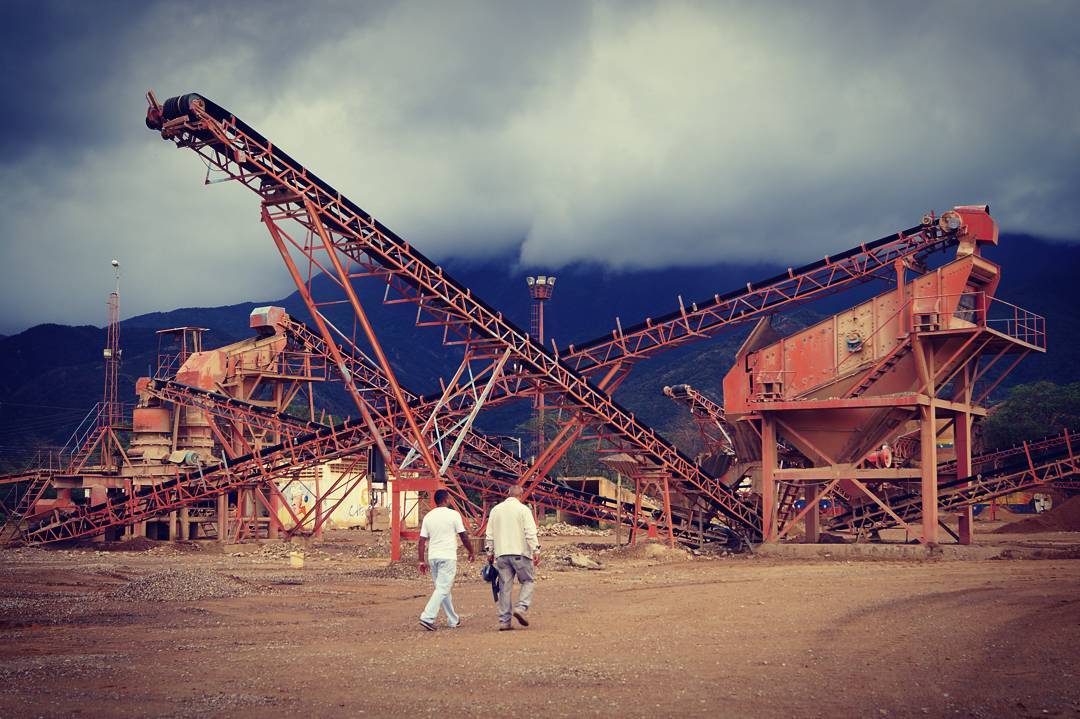 Naturaleza Luminosa: 20 Fotografías de Falcón que te sorprenderán ...
