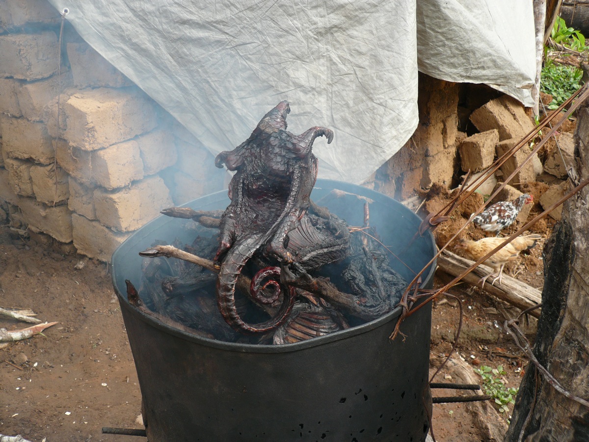 Alex's Liberia trip: April 2012