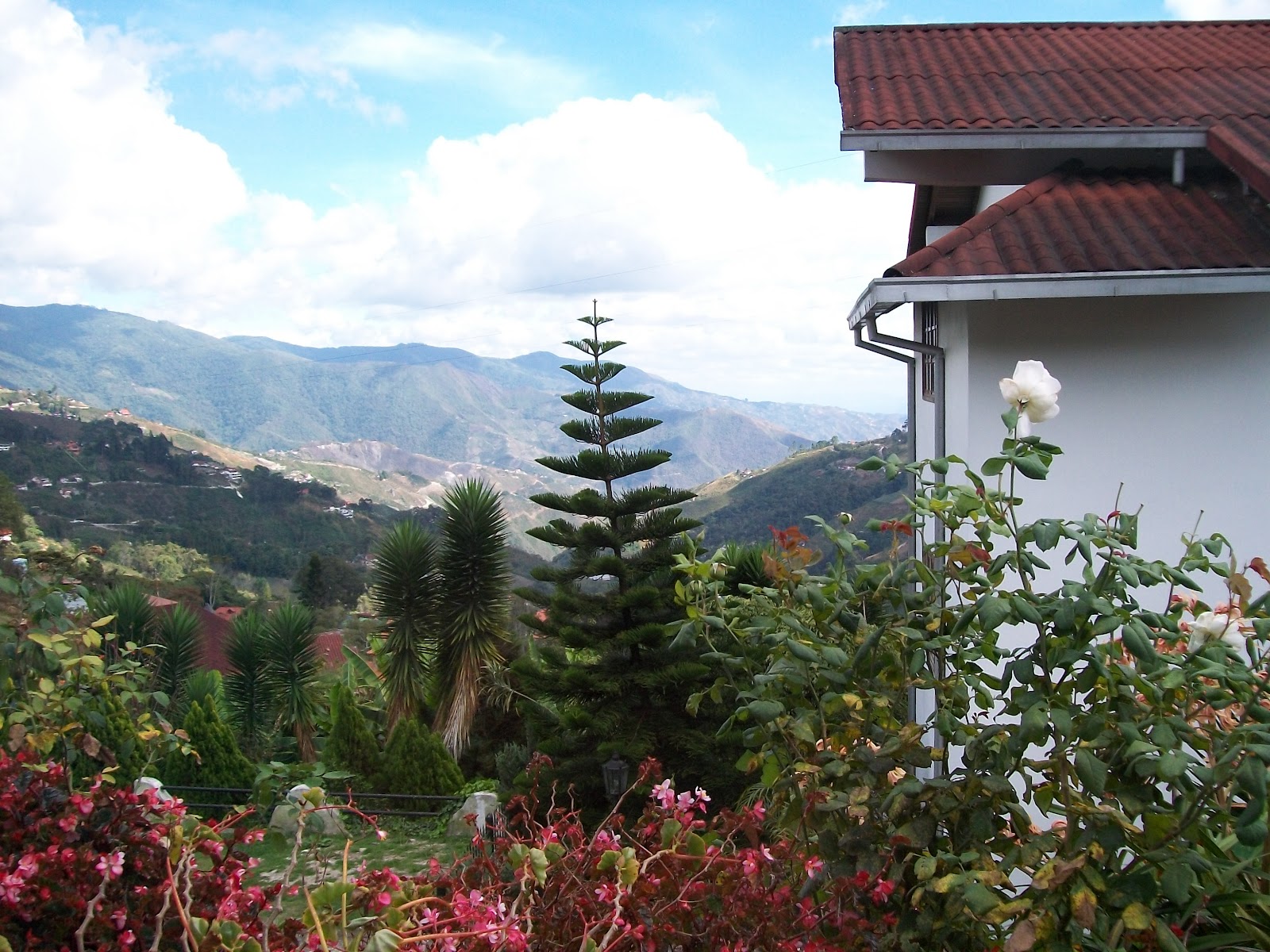Turismo en Venezuela: LA COLONIA TOVAR