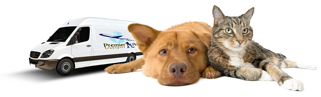 Animal Transport Services – Select Comfortable & Safe Care For Your Pet ...