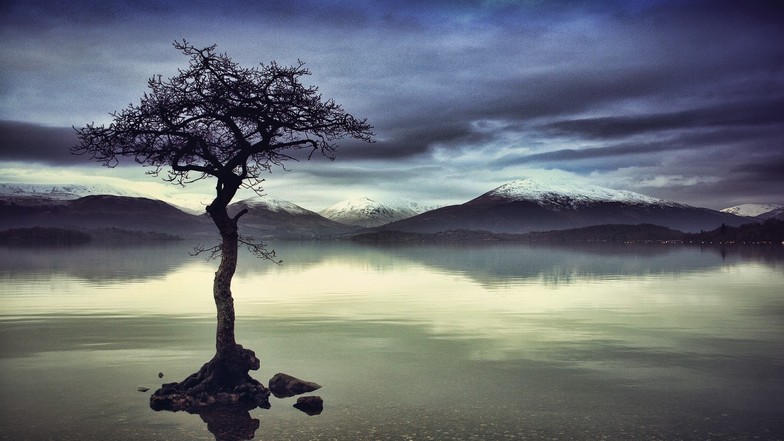 Yüksek çözünürlüklü hd fotoğraflar - Kaliteli arkaplanlar | Rooteto