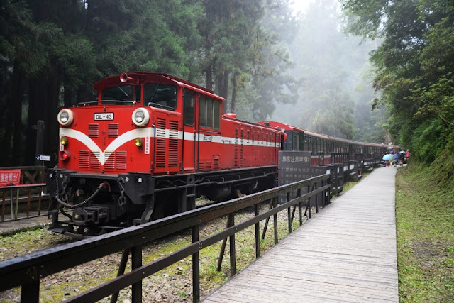 Endless Traveling Map: The Alishan Forest Railway, Taiwan