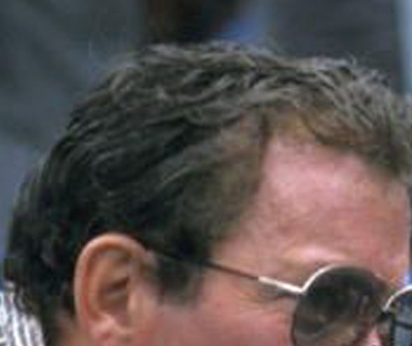 Shatner's Toupee: To err is human...