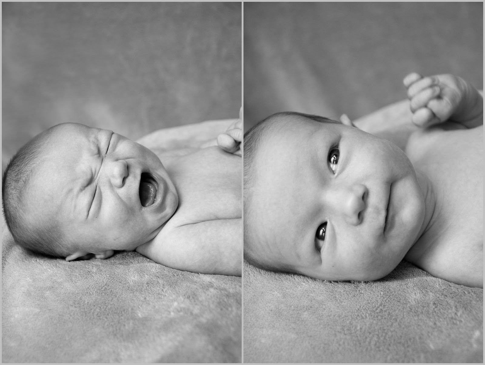 Amanda Mann Photography: Brynleigh's Newborn Debut {St. Louis Newborn ...