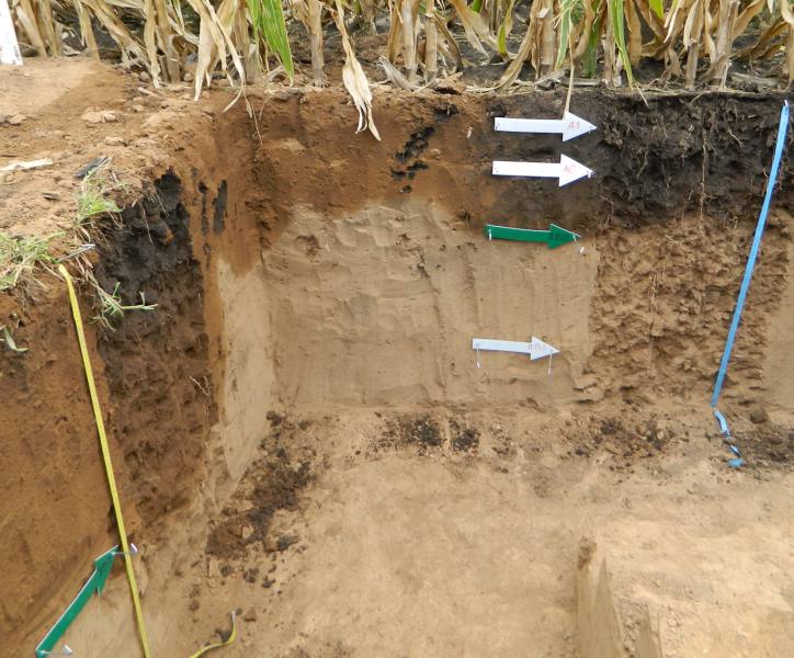 Opiniones de calicatas