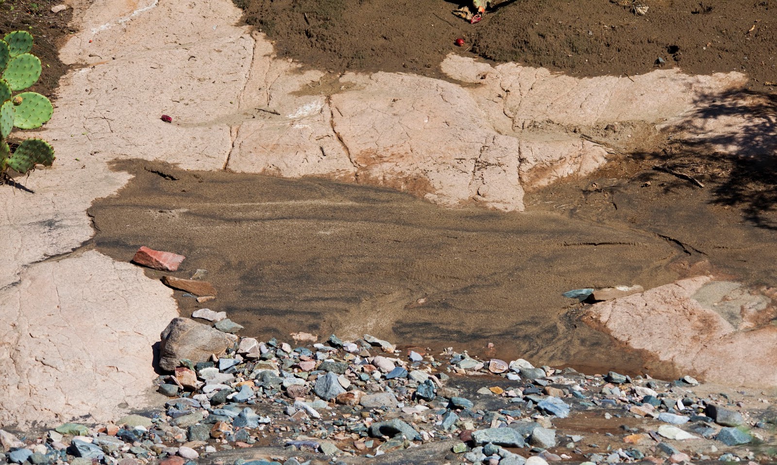 Walking Arizona: Iron in a Sand Bar