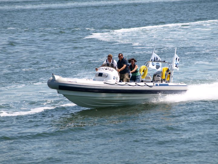Seadogz Rib Charter