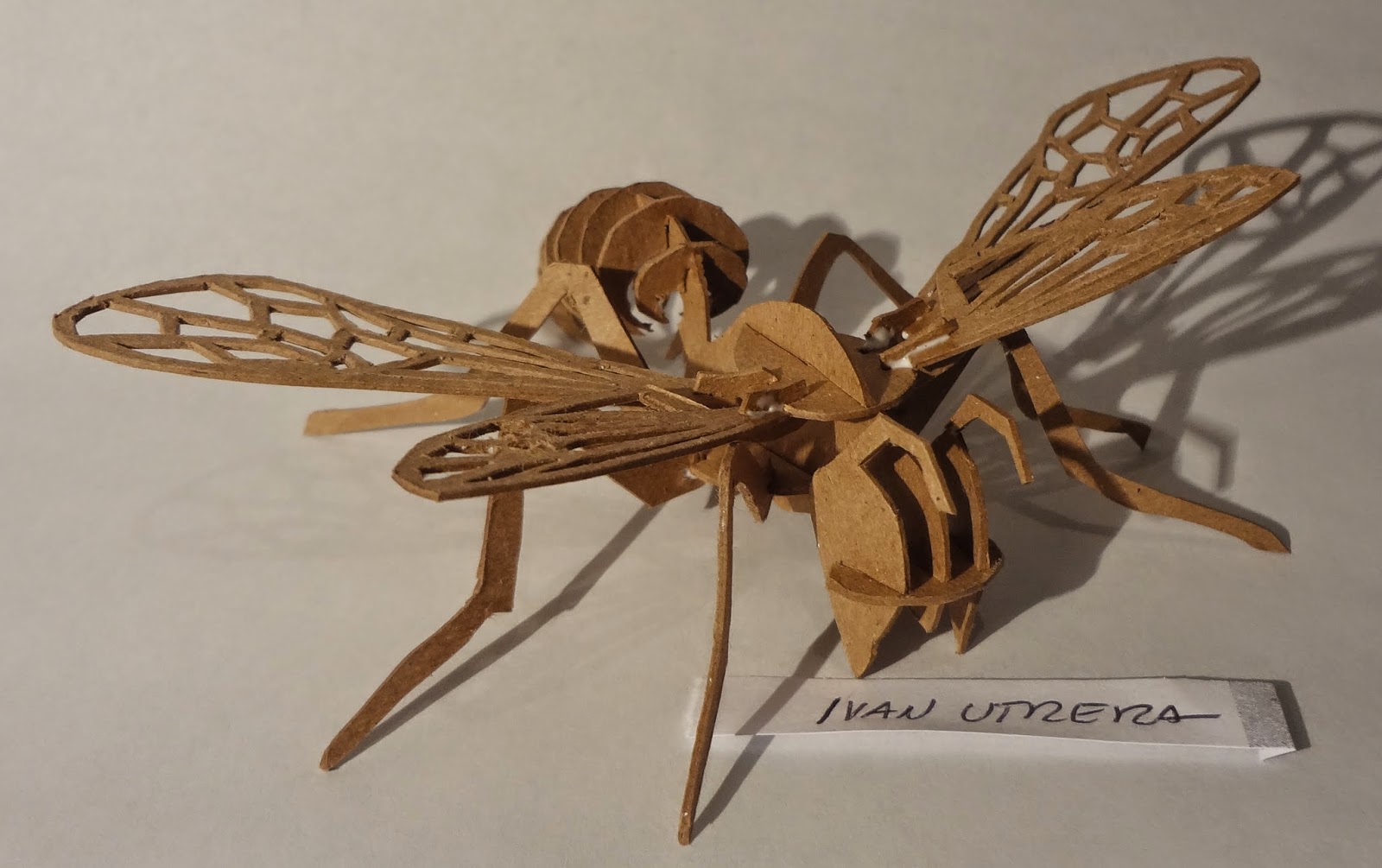 Wasp on cardboard | Insects, Wasp, Sculptures