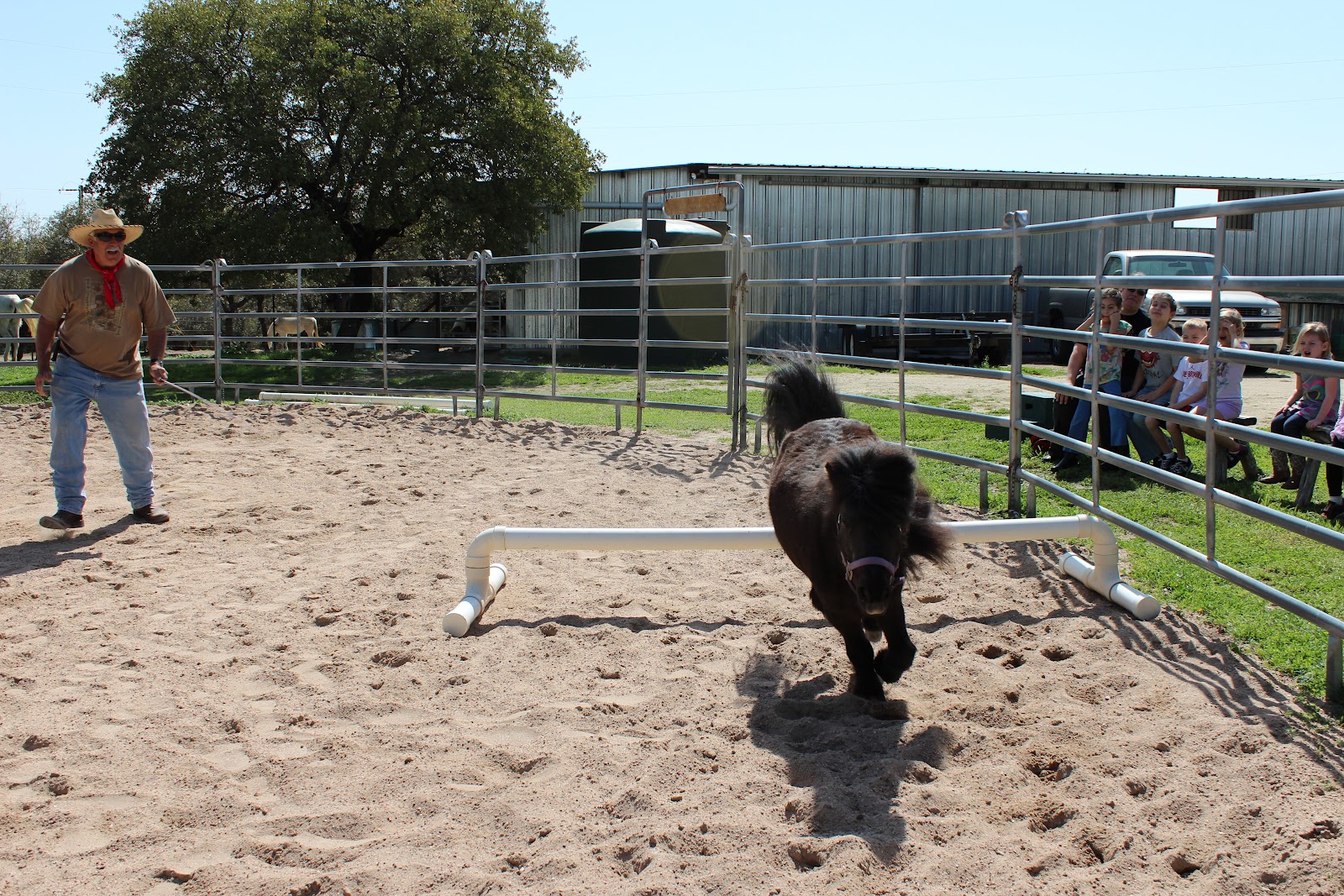 Little Buckaroo Ranch