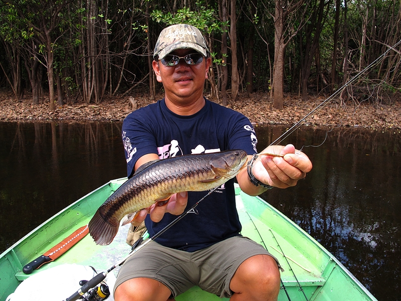 ANGLING WORLD 魔魚釣界: Adventure Fishing @ Amazonia Rio Negro