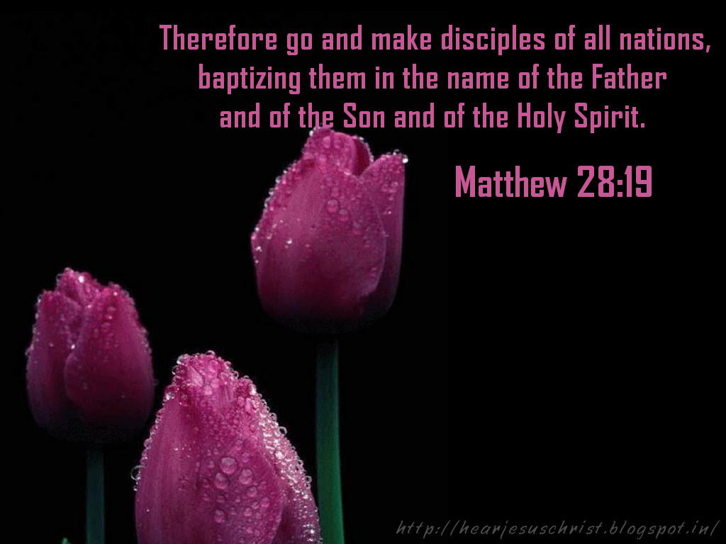Christian Wallpapers: Bible Verse Wallpaper - Matthew 28:19