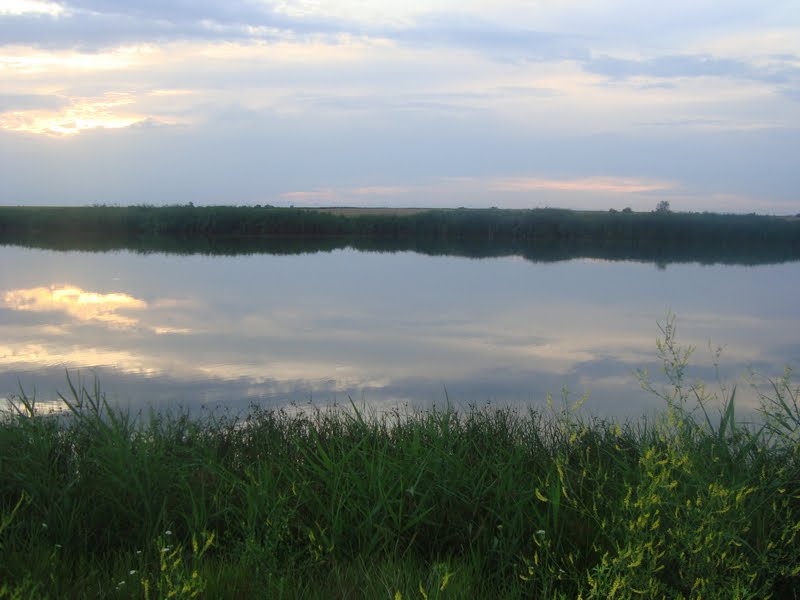 Pasiunea Pescuitului: Balta Moara Salciile