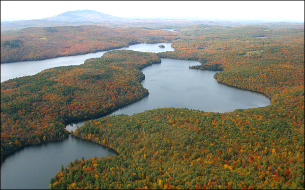 The Bobcat's Tail: July 2011