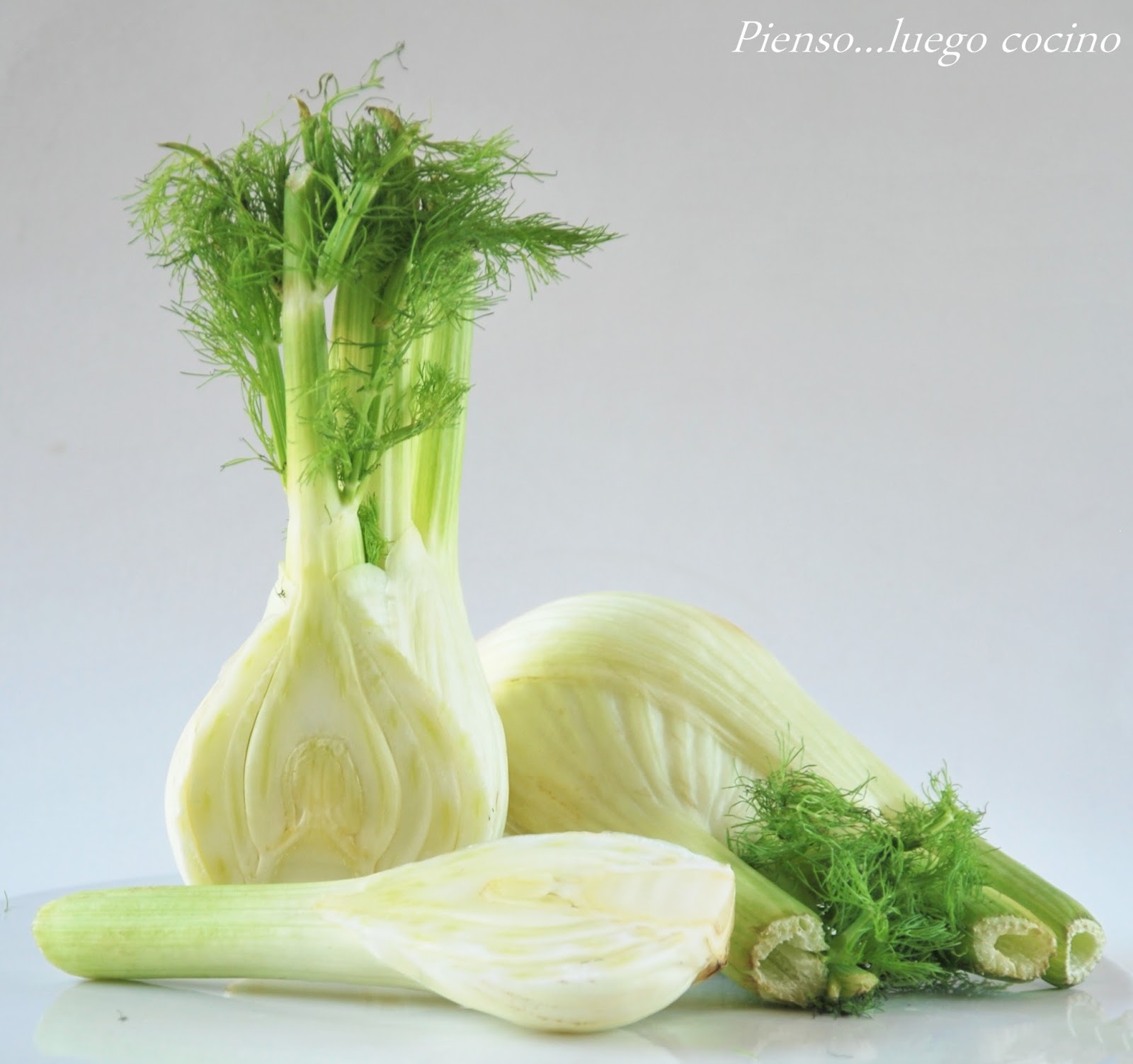 Pienso...luego cocino: Conservar hinojo